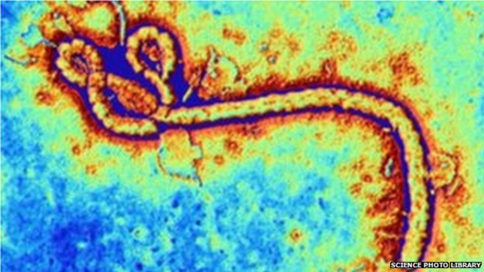 Ebola Crisis Experimental Vaccine Shipped To Liberia Bbc News