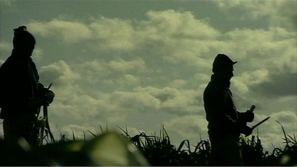 Warning over exploited migrant workforce - BBC News