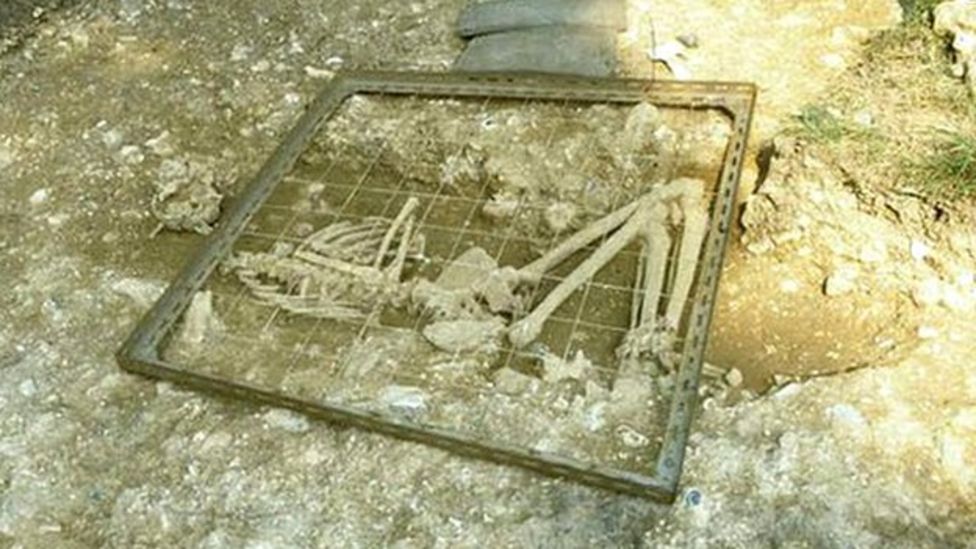 Chichester skeleton: Racton Man 'was warrior chief killed in battle ...