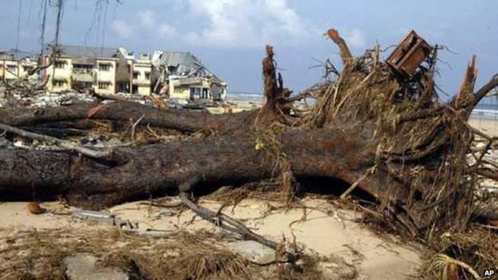 How living through tsunami 'changed our lives' - BBC News
