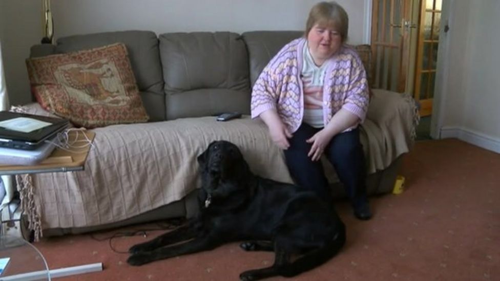 Birmingham Taxi Driver Fined For Guide Dog Refusal BBC News birmingham-taxi-driver-fined-for-guide-dog-refusal-bbc-news