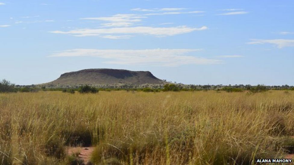 The day the Pintupi Nine entered the modern world - BBC News
