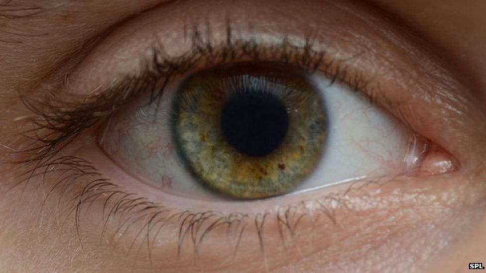 Stem cells: First therapy approved by EU - BBC News