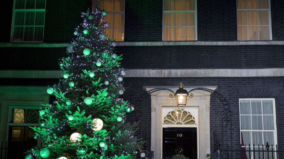 Christmas trees around the world - BBC Newsround