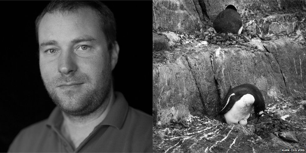 In pictures: In Shackleton's footsteps - BBC News