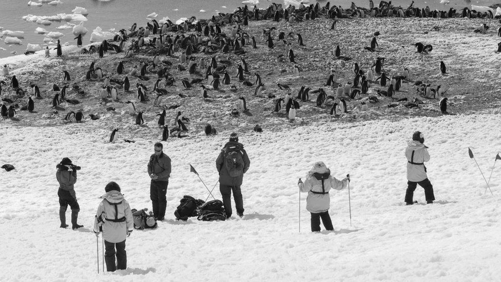 Hurstpierpoint man drags rocking horse to South Pole for charity - BBC News