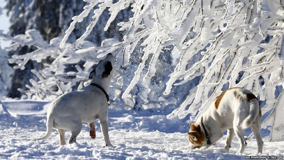 Day in pictures: 5 January 2015 - BBC News