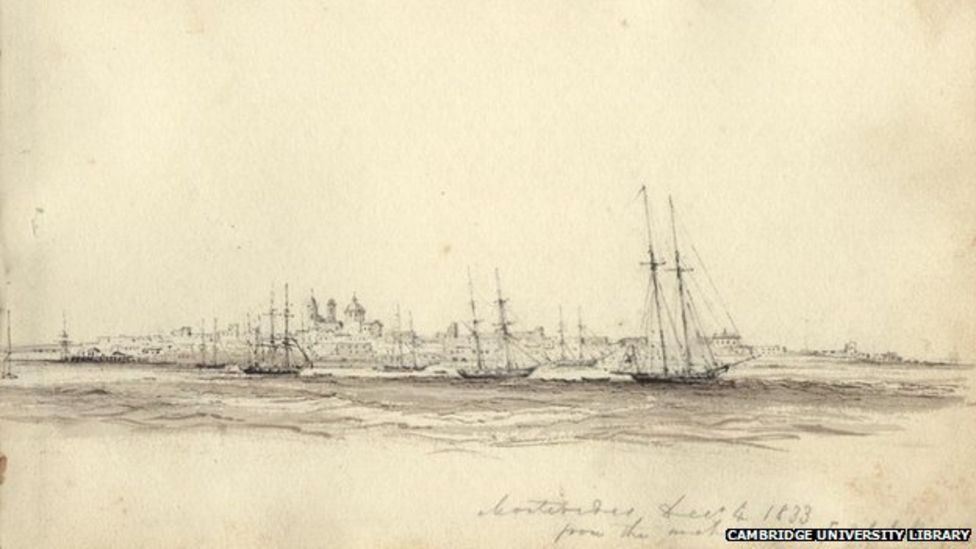 Charles Darwin's Beagle shipmate sketches online - BBC News