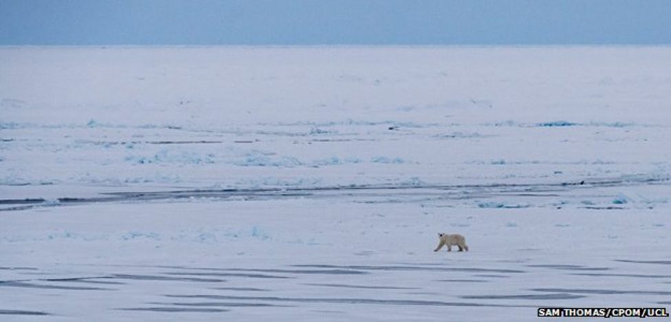 Most fossil fuels 'unburnable' under 2C climate target - BBC News