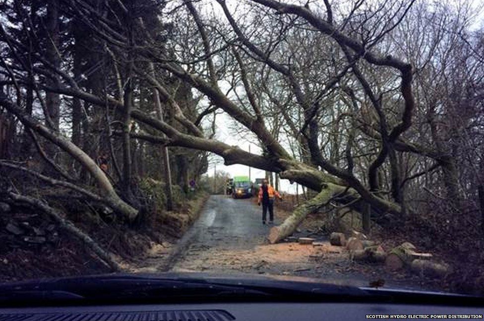 UK weather: Pictures of storm damage from around UK - BBC News