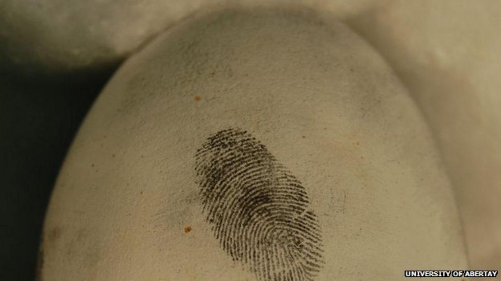 Fingerprints 'breakthrough' for wildlife crime investigators - BBC News