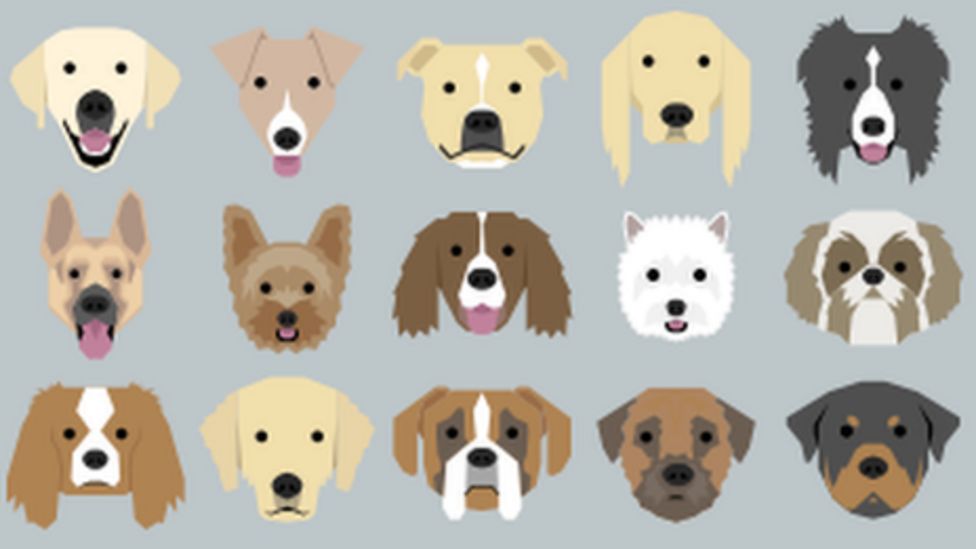 Classical music 'helps dogs relax' - BBC News