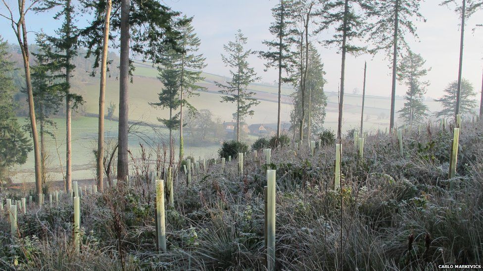 Your cold weather photos - BBC Weather