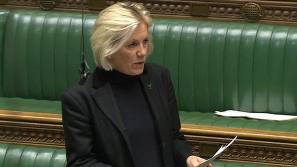 Lib Dem Tessa Munt quits as Vince Cable aide over fracking - BBC News