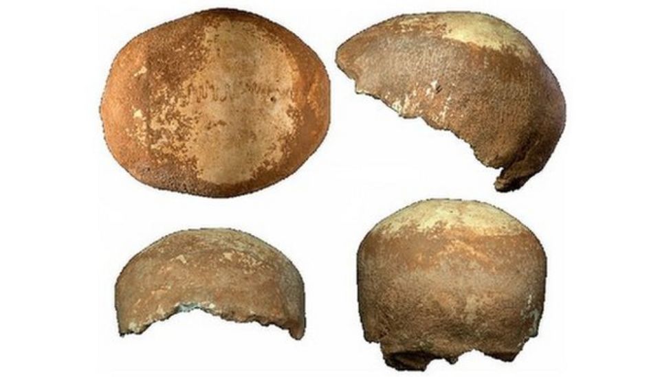 Ancient DNA reveals 'into Africa' migration - BBC News