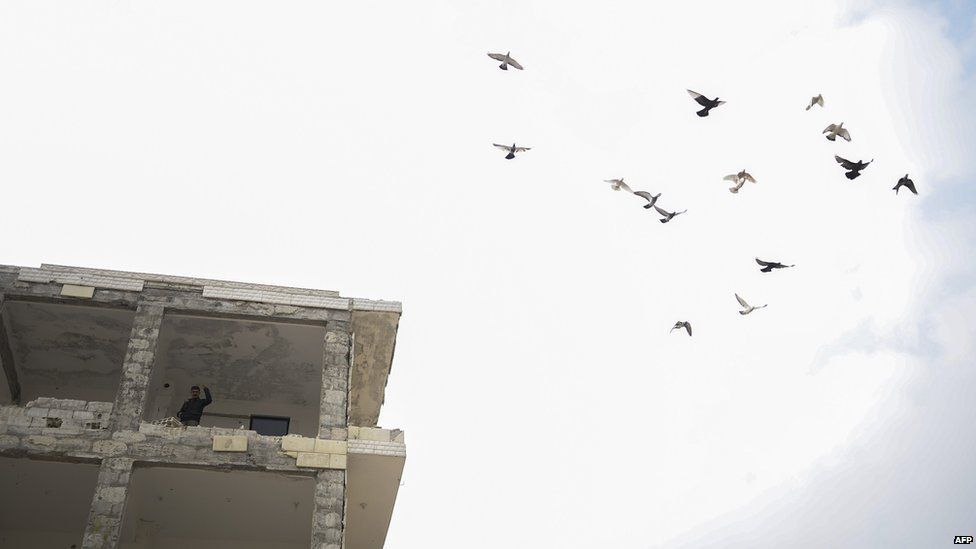 Syria crisis: Pictures of Kobane's destruction - BBC News