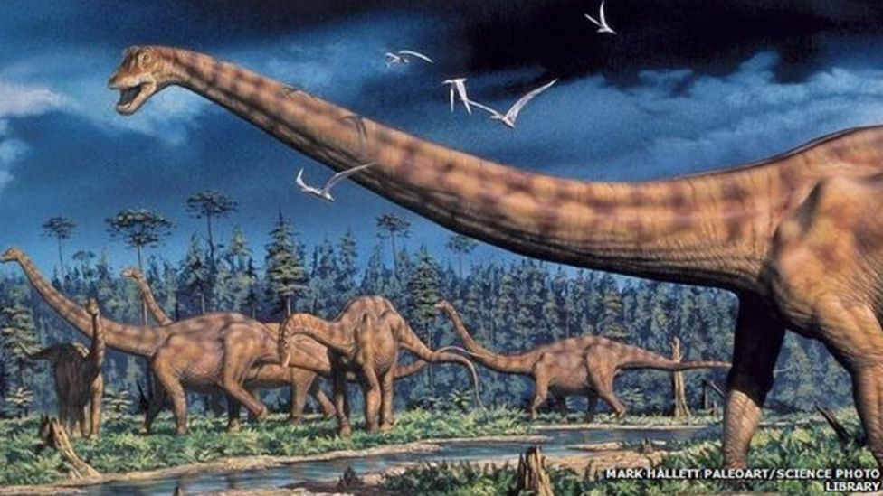 Diplodocus v blue whale: How they stack up in numbers - BBC News