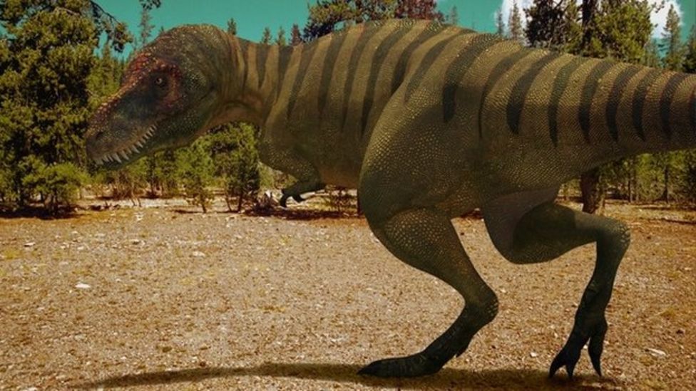 Cambridge May Ball T-rex given permanent museum home - BBC News