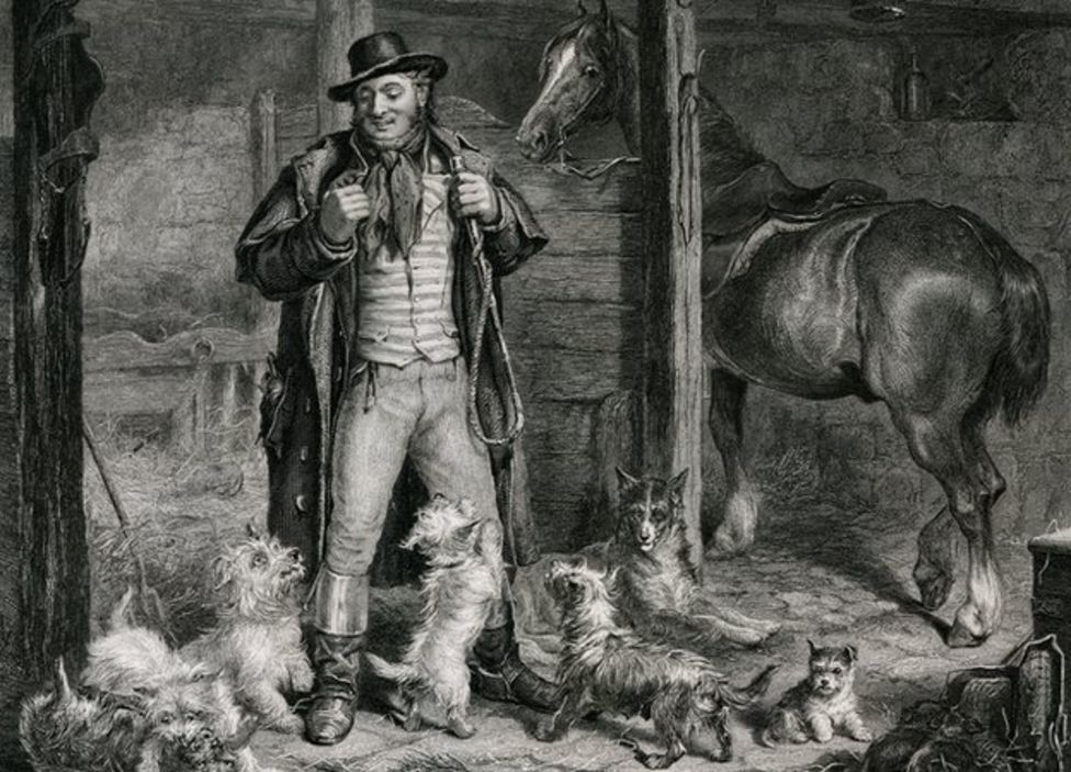 Dandie Dinmont terrier's story revealed by Selkirk painting - BBC News