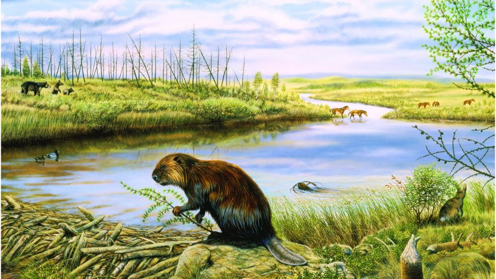 Ocean carbon release 'ended last Ice Age' - BBC News