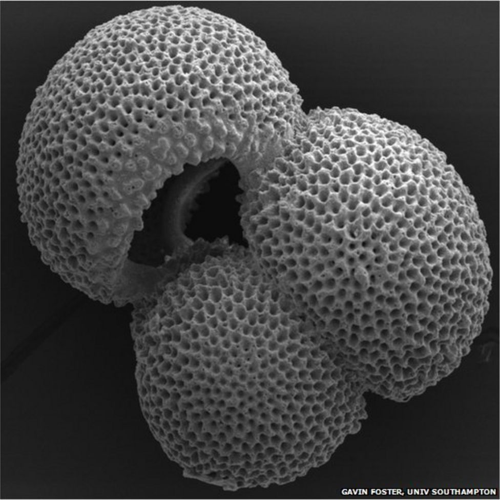 Ancient climate records 'back predictions' - BBC News