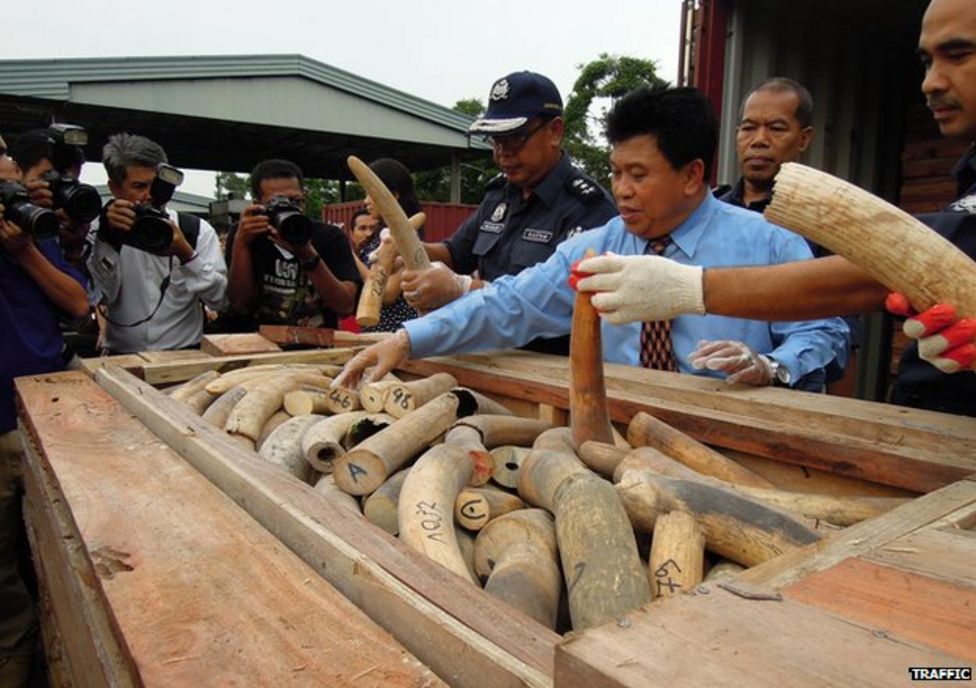 Frontline teams 'unaware' of wildlife smuggler tactics - BBC News