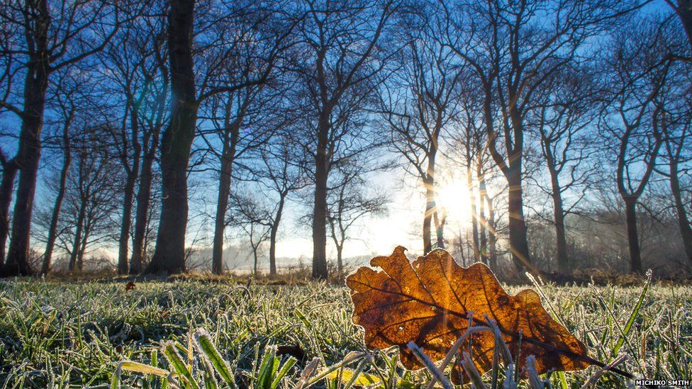 Your February weather photos - BBC Weather