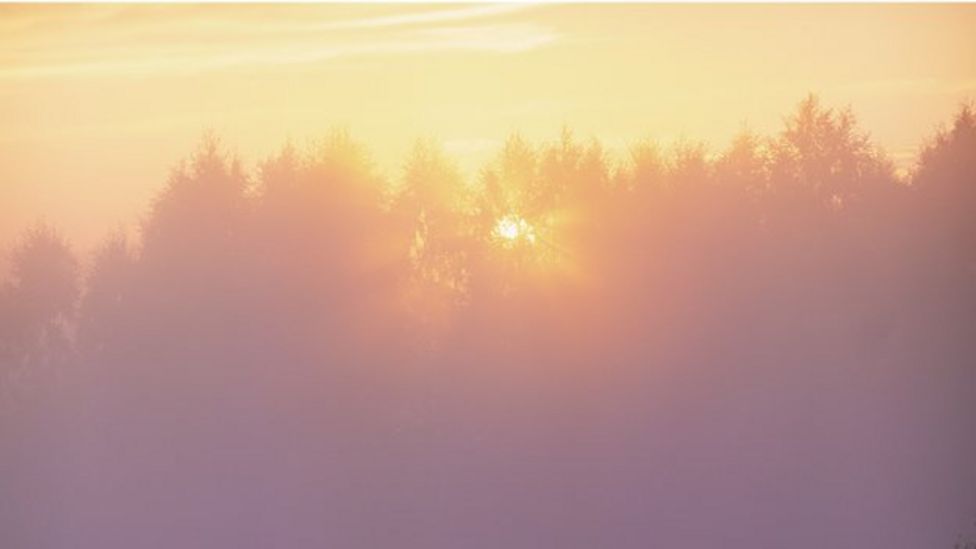 Let there be light: Helping people through dark days - BBC News