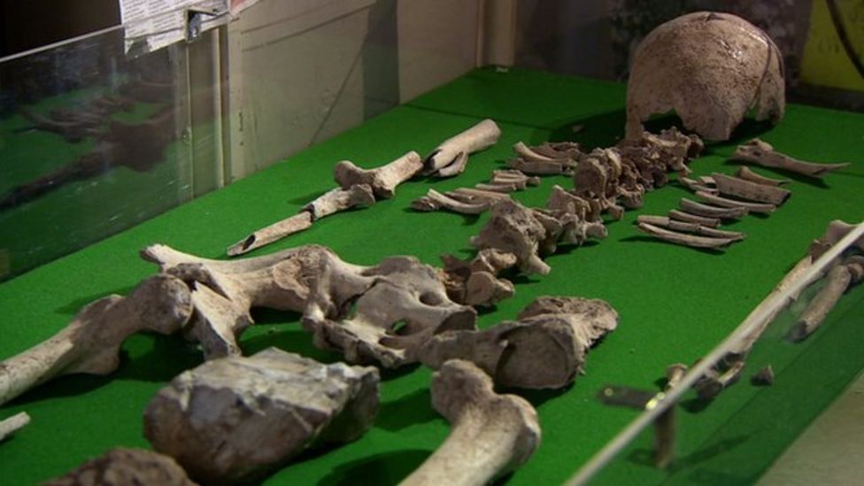 Llandudno Stone Age skeleton Blodwen returns home - BBC News
