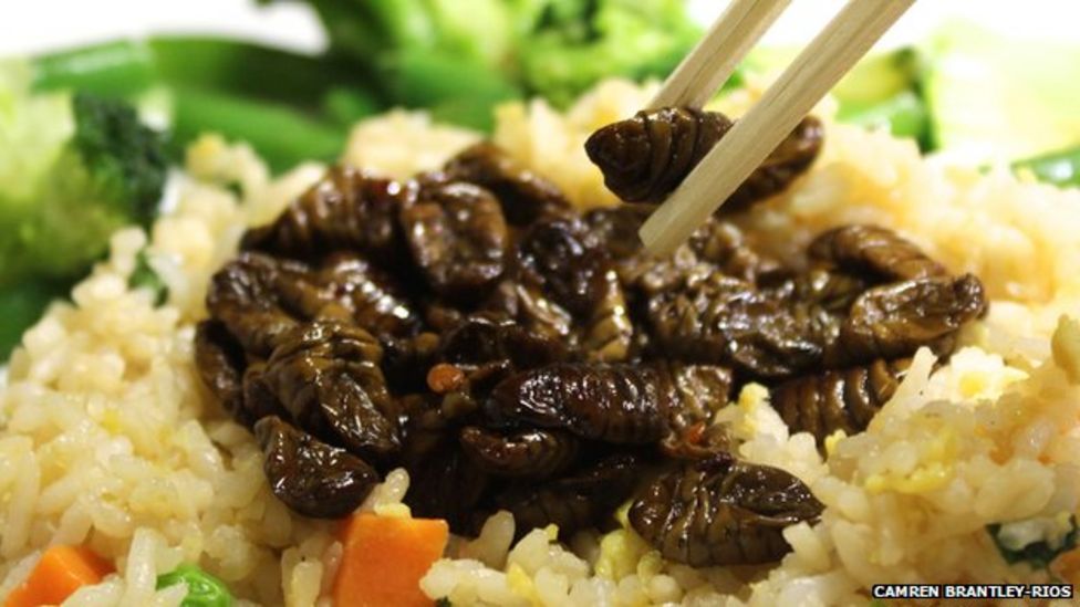 The 30-day worm and cricket diet - BBC News