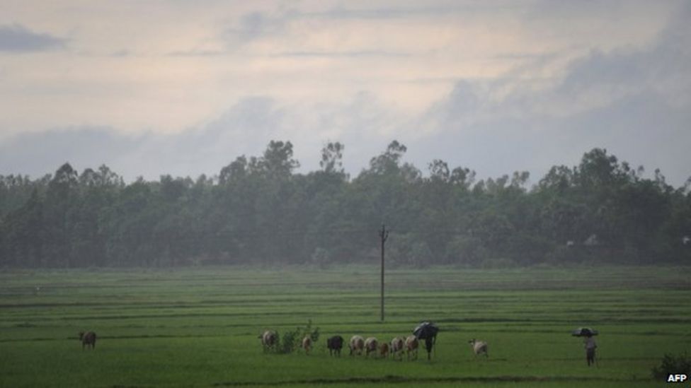 Why is India facing growing conflict over land? - BBC News