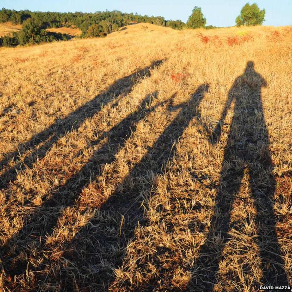 Halfway point in 24-year photo project - BBC News