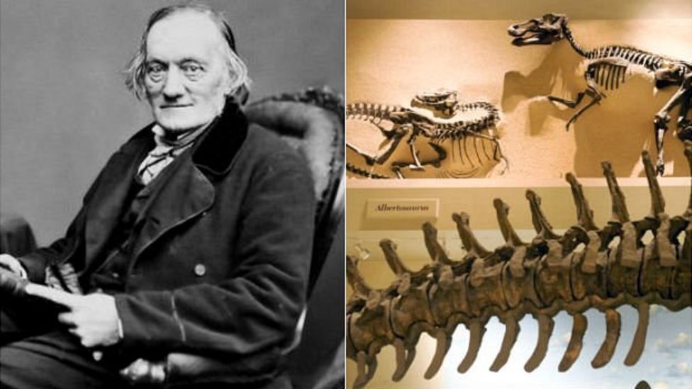 Sir Richard Owen: The man who invented the dinosaur - BBC News