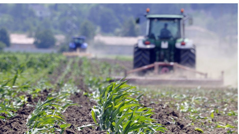 Is opposition to genetically modified food irrational? - BBC News