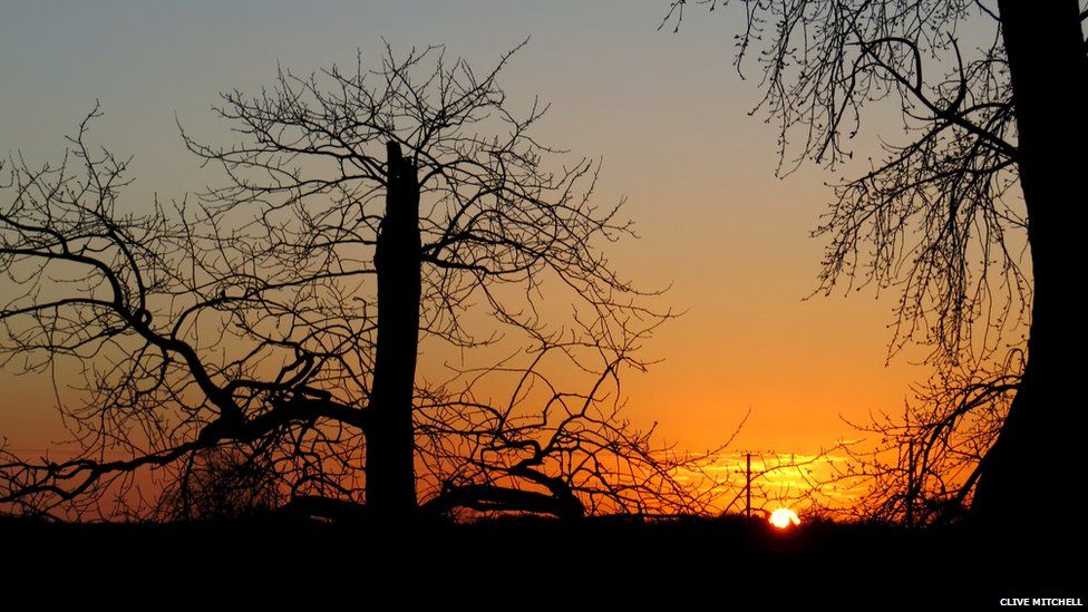 Your March weather photos - BBC Weather