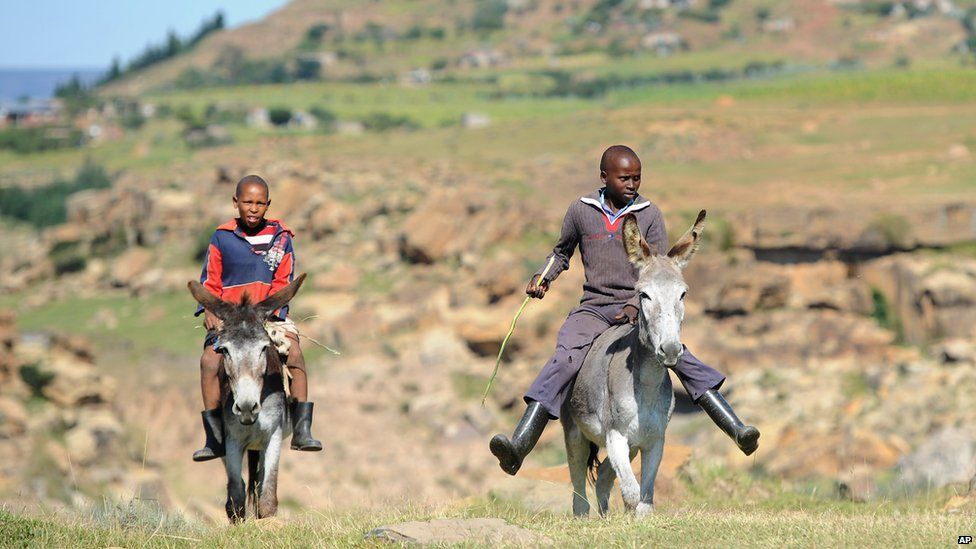 Africa in pictures: 27 February - 5 March 2015 - BBC News