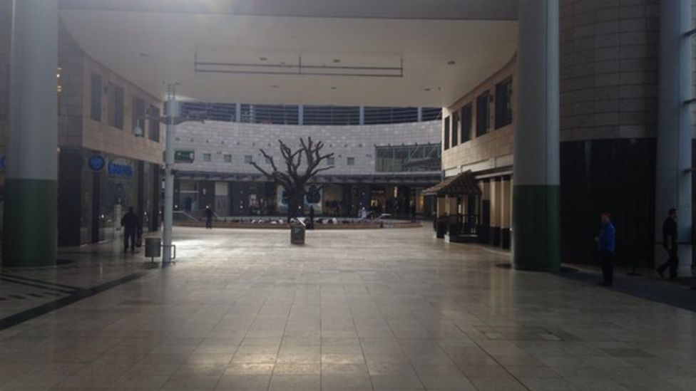 Milton Keynes' Midsummer Place oak tree 'drowned', says builder - BBC News