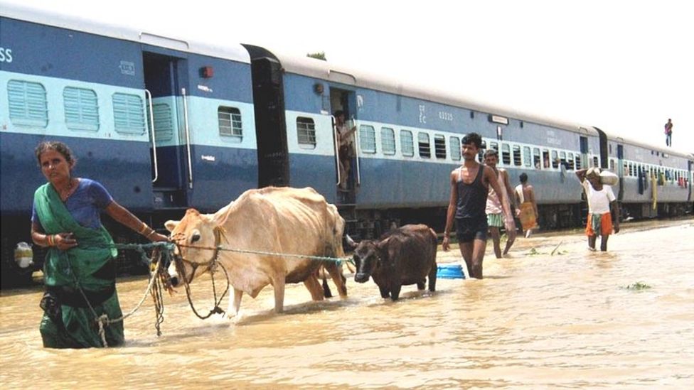 UN: Farming needs to harvest chance to cut emissions - BBC News