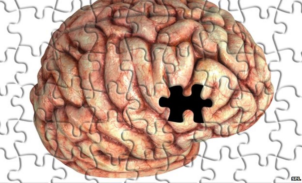 Repeated remembering 'wipes similar memories' - BBC News