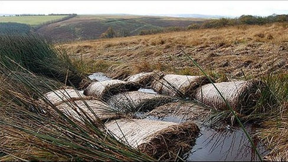 Acres of Exmoor 're-wetted' and restored to peat bog - BBC News