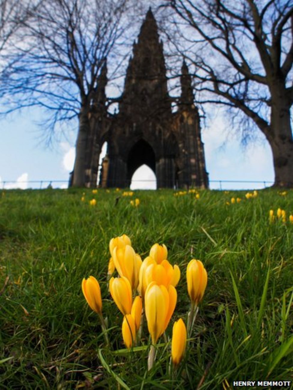 Your pictures: Signs of Spring - BBC News
