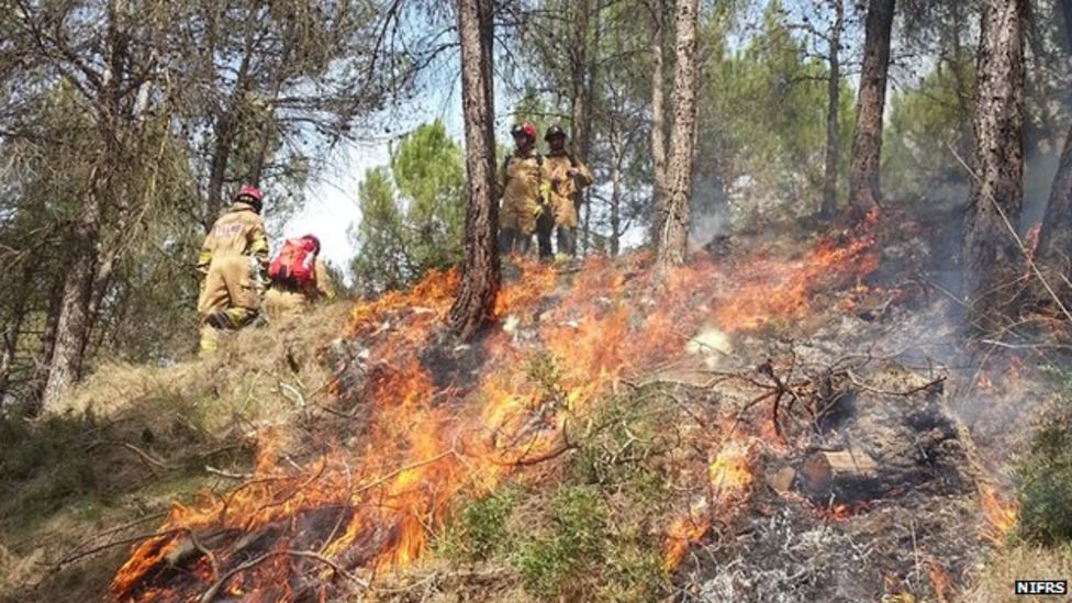 NI fire service warns of damage caused by gorse fires - BBC News