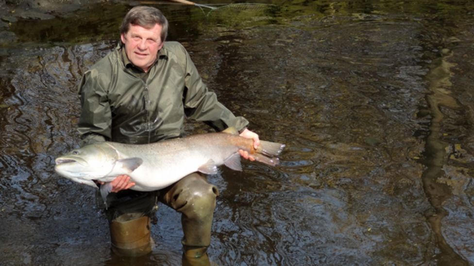 The beast of the Danube - BBC News