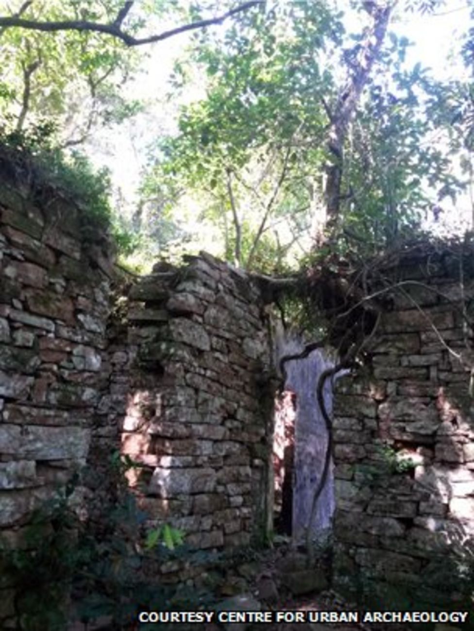 Argentine archaeologists probe 'Nazi hide-out' for clues - BBC News