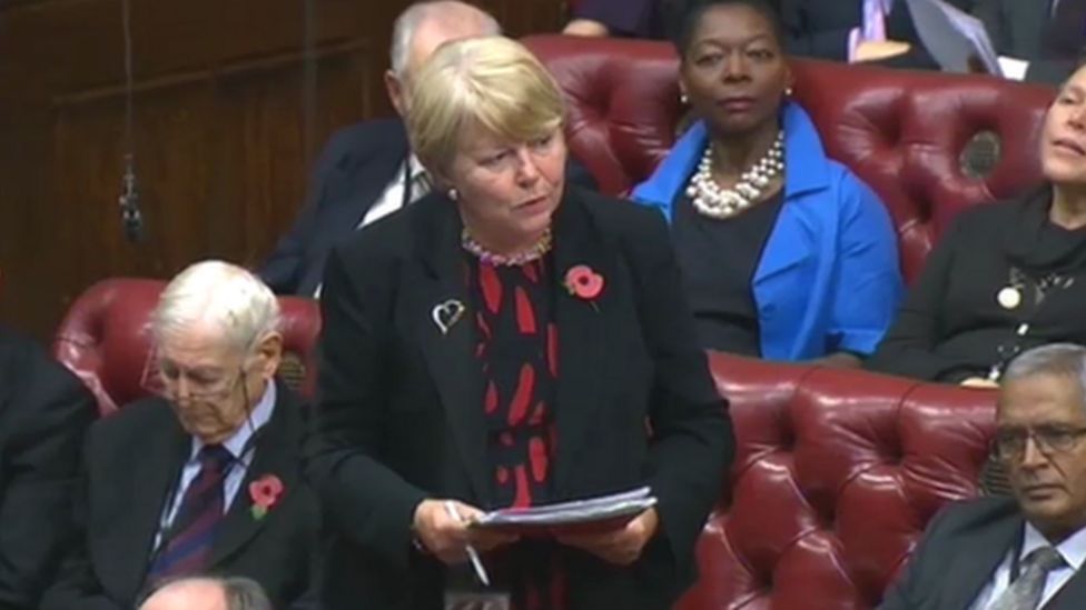 Baroness Randerson outlines equality policies for women - BBC News