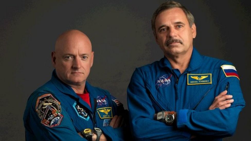 Ants in space grapple well with zero-g - BBC News