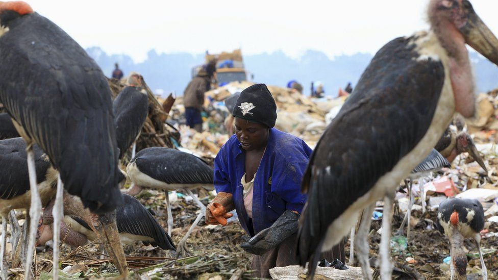 Africa in pictures: 27 March-2 April 2015 - BBC News