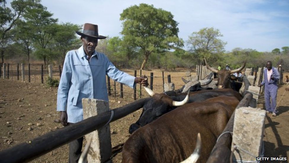 Zimbabwe country profile - BBC News