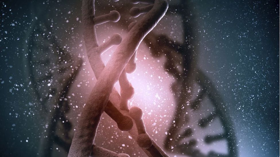 'Designer cells' reverse one-year-old's cancer - BBC News