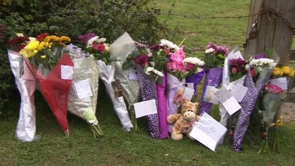Pennie Davis death: Court case revealed secrets of New Forest family ...